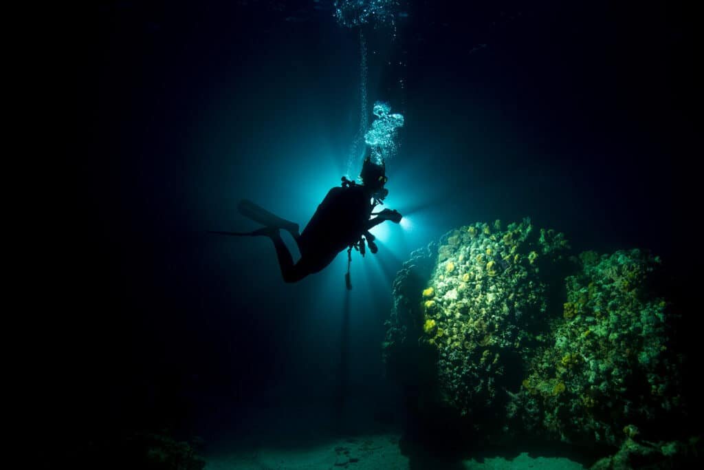 Everything You Need to Know About Night Diving